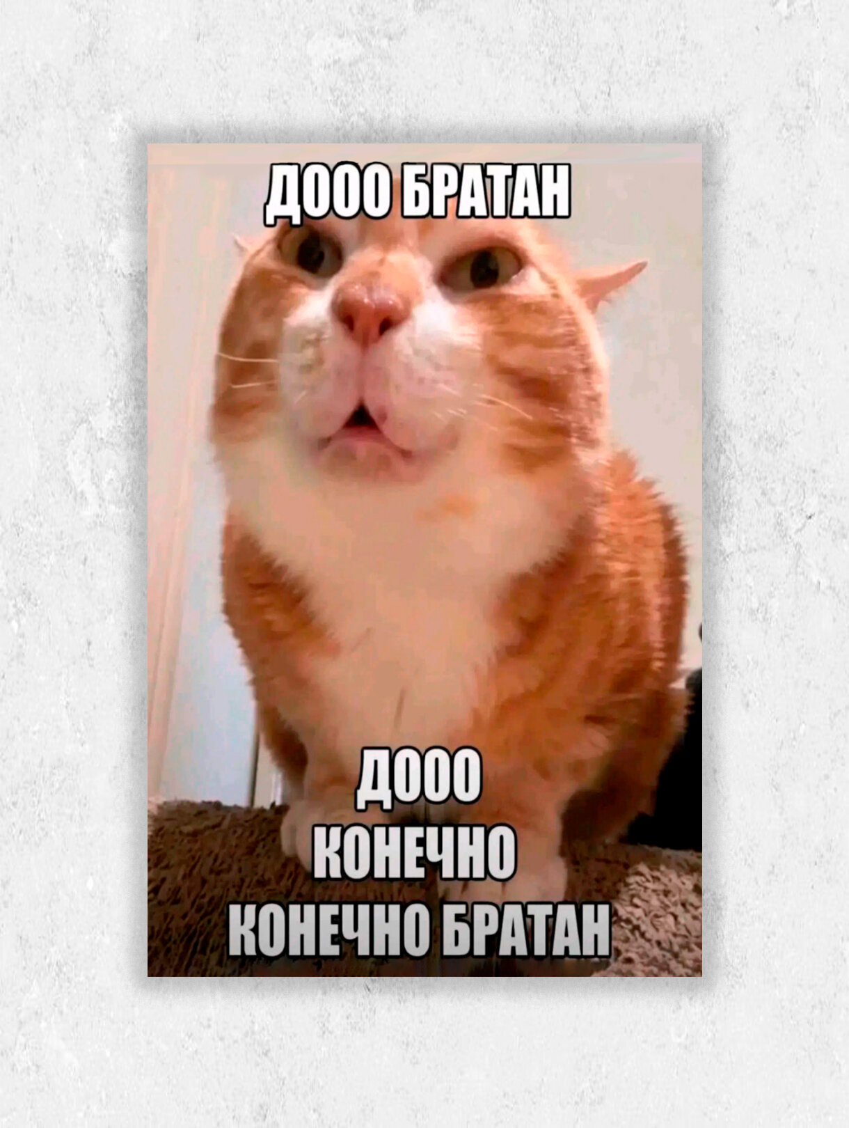 Плакат-мем "Кот-братан"