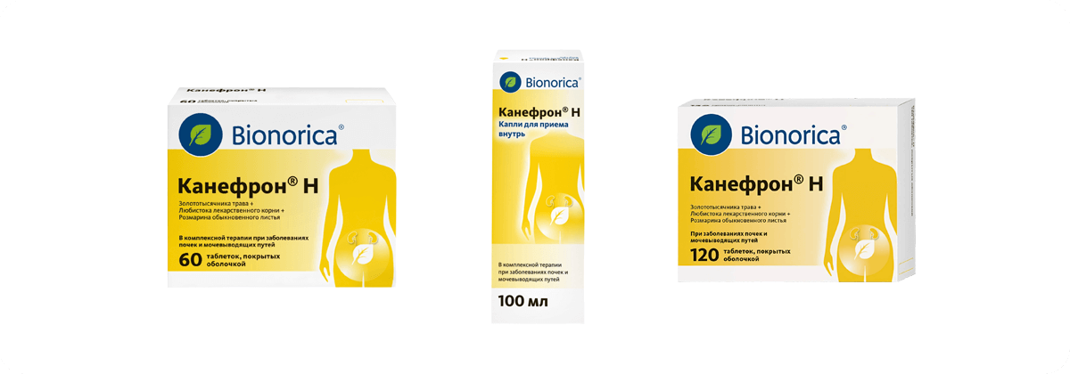 Канефрон Н, таблетки покрыт. плен. об, 60 шт, таблетки, мочегонный, противовоспалительный — фото 1