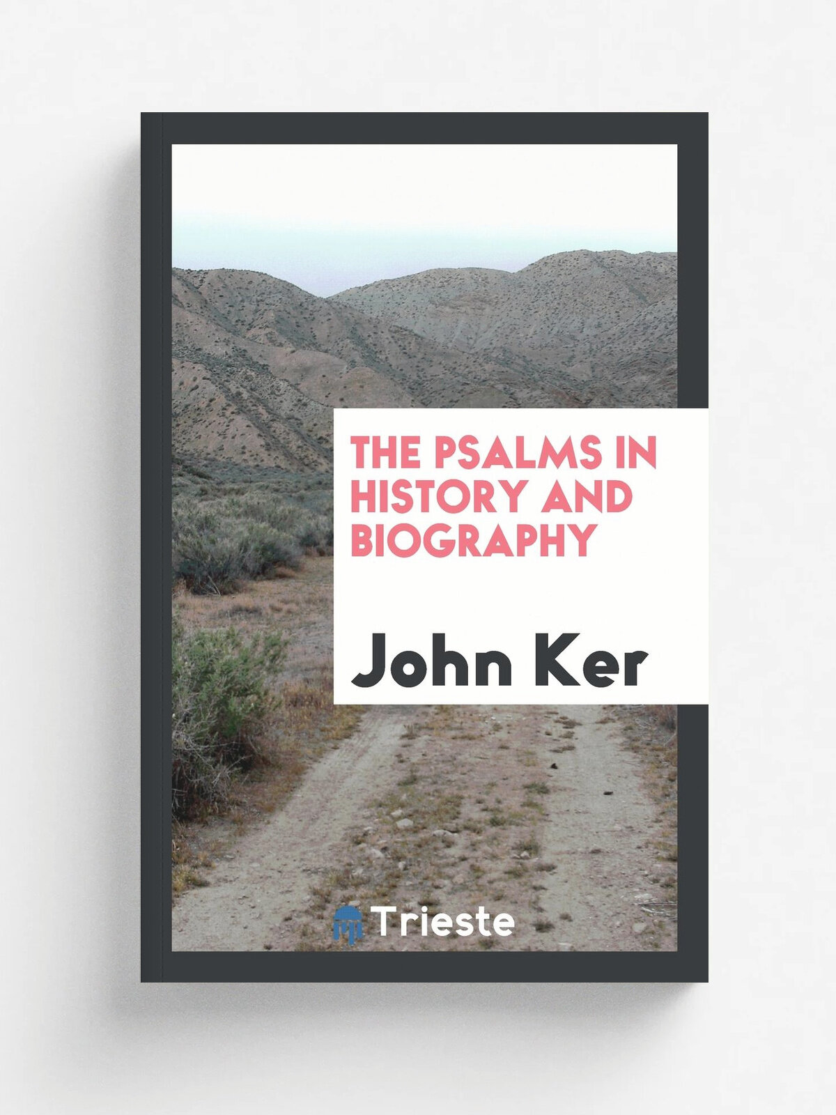 The Psalms in History and Biography