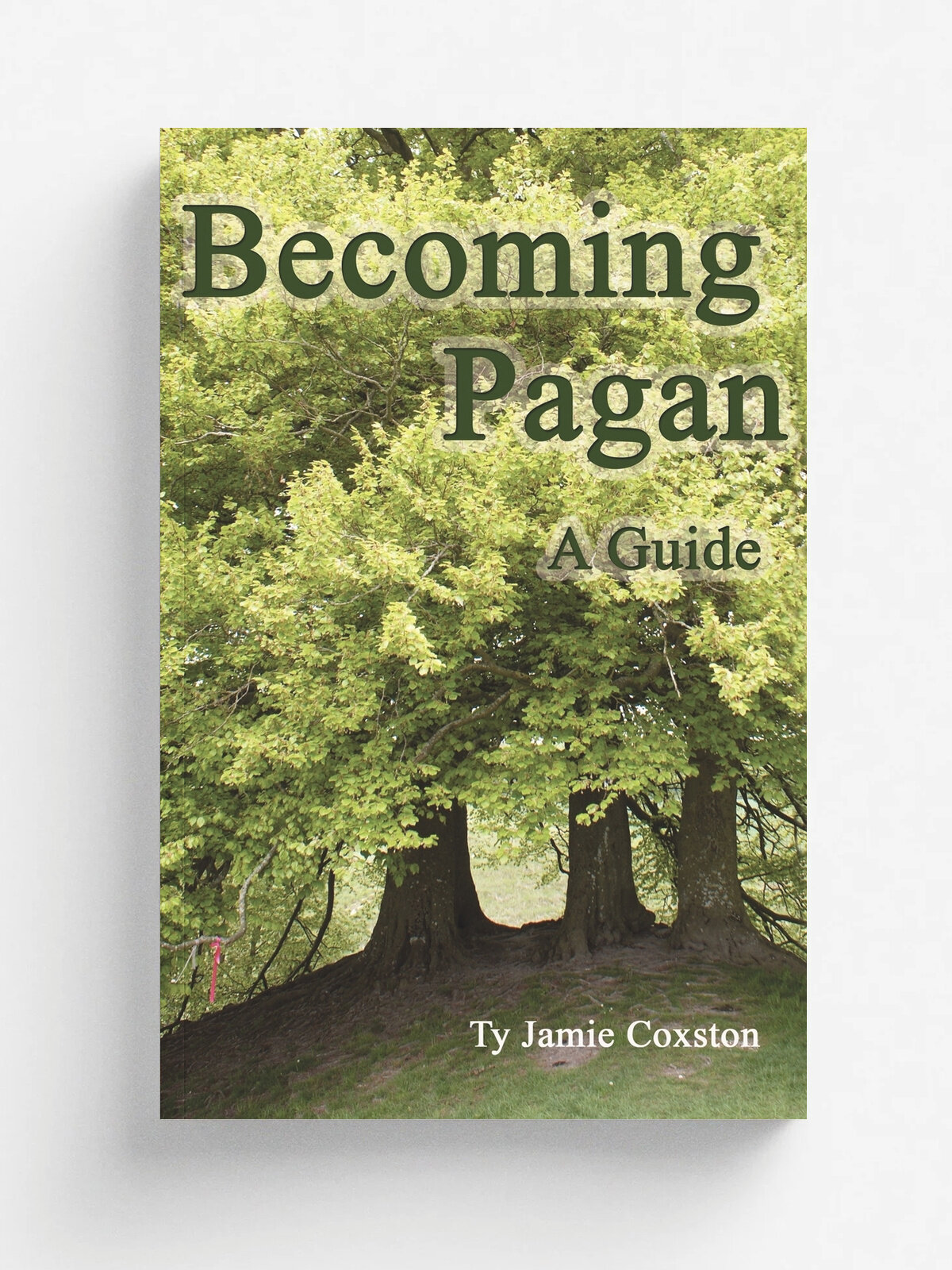 Becoming Pagan. A Guide
