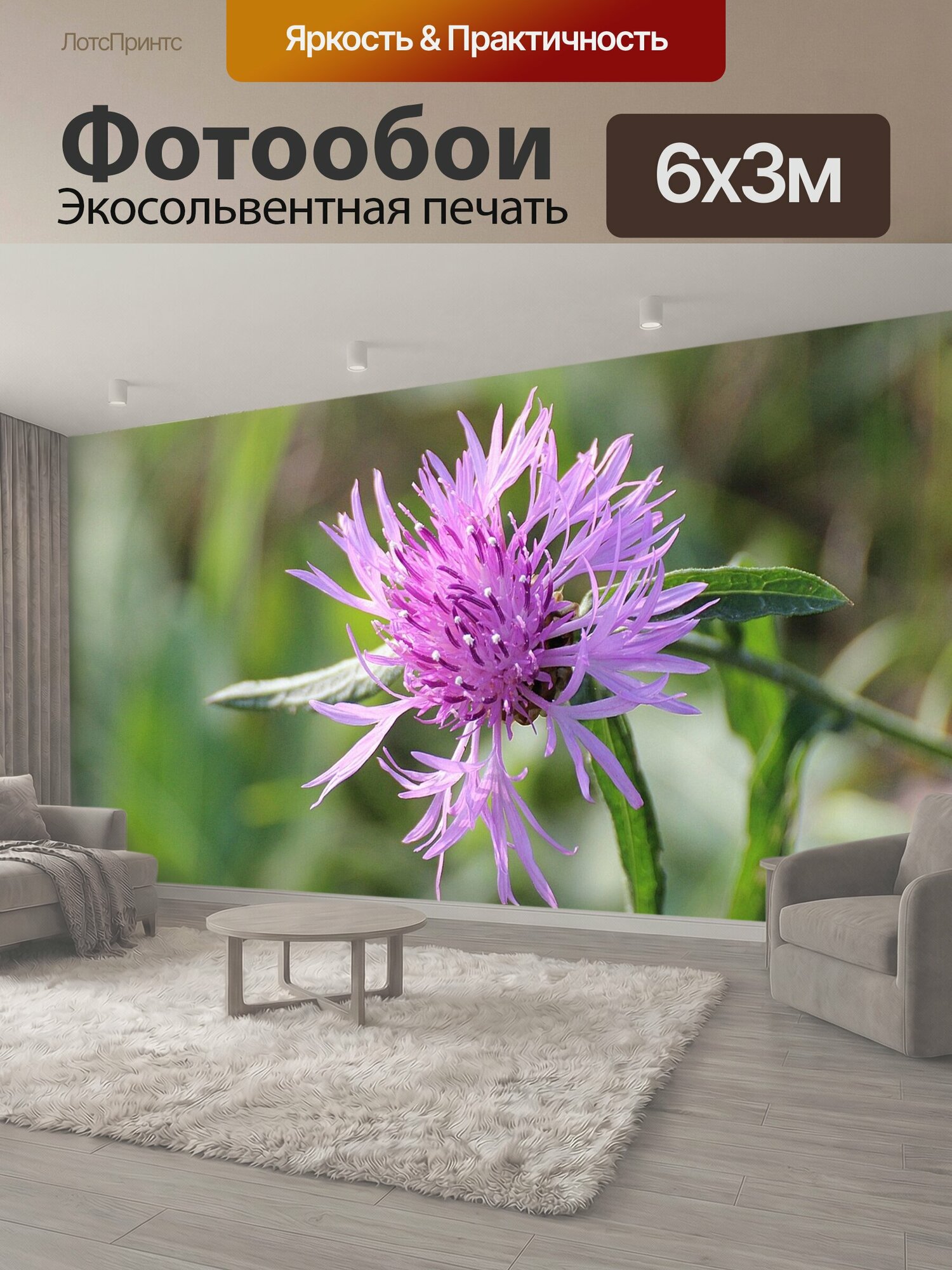 Фотообои "Василек, центавр, композиты" 600x300 см. экосольвентная печать