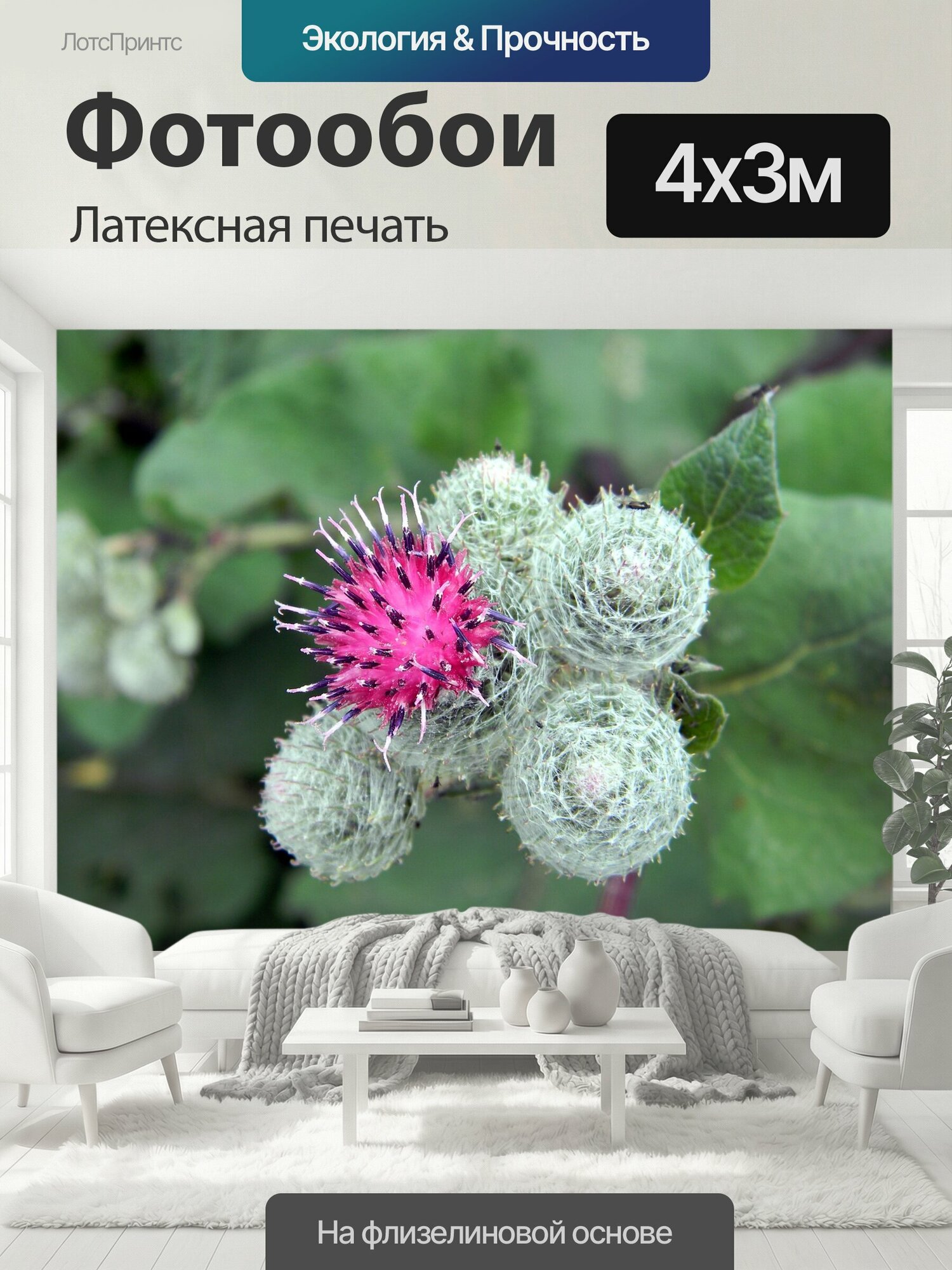 Фотообои моющиеся ударопрочные "Лопух, репейник, цветение" 400x300 см. латексная печать