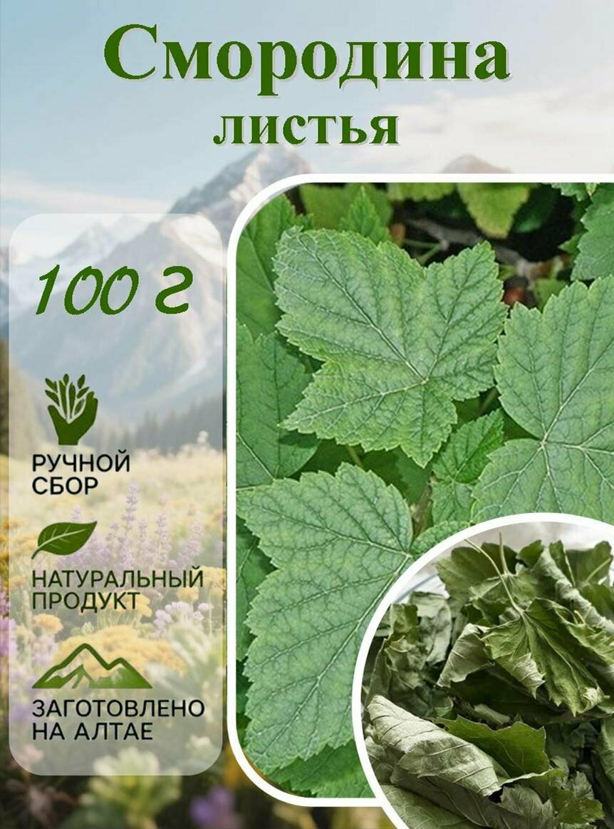 Смородина таежная, лист сушеный цельный, 100 грамм, АлтайМир