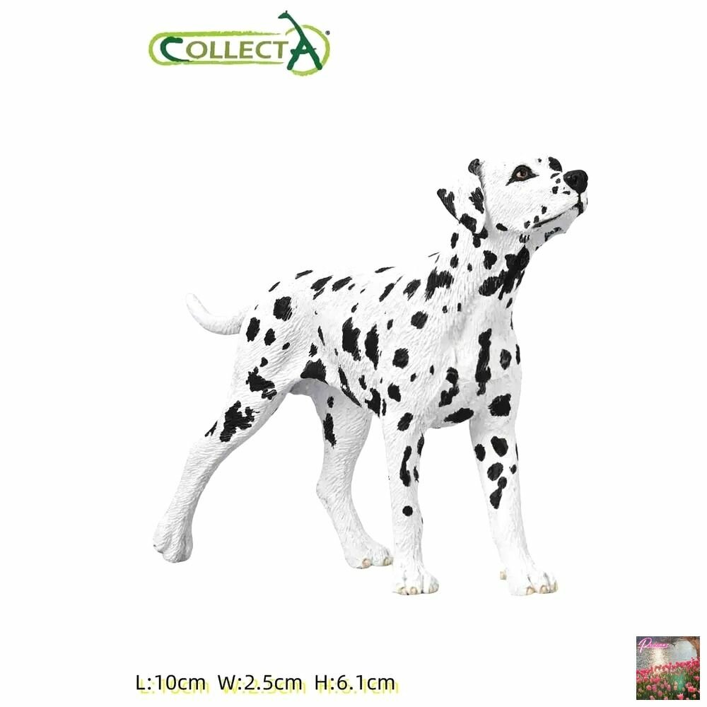 CollectA Далматин (Dalmatian), фигурка собаки, коллекционная модель домашних животных, для детей и коллекционеров