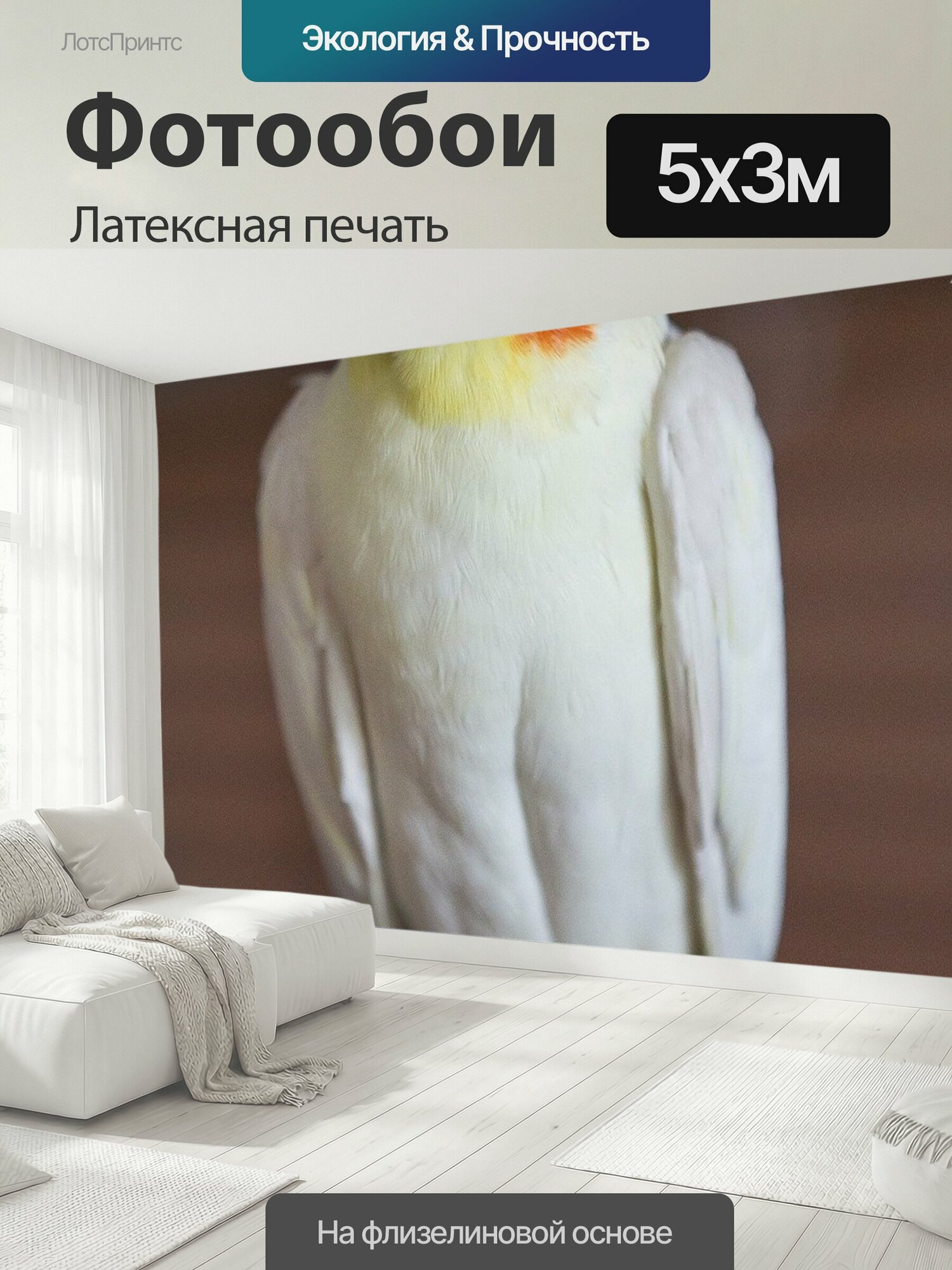 Фотообои моющиеся ударопрочные "Корелла, попугай, птица" 500x300 см. латексная печать