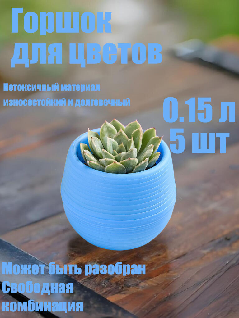 Горшок для цветов, Кашпо для суккулентов, синий, 7 см х 8 см х 8 см, 0.15 л, 5 шт (Цвет товара: лазурный; Объем: 0.15 л; Ширина: 7.5 см; Высота: 7 см)