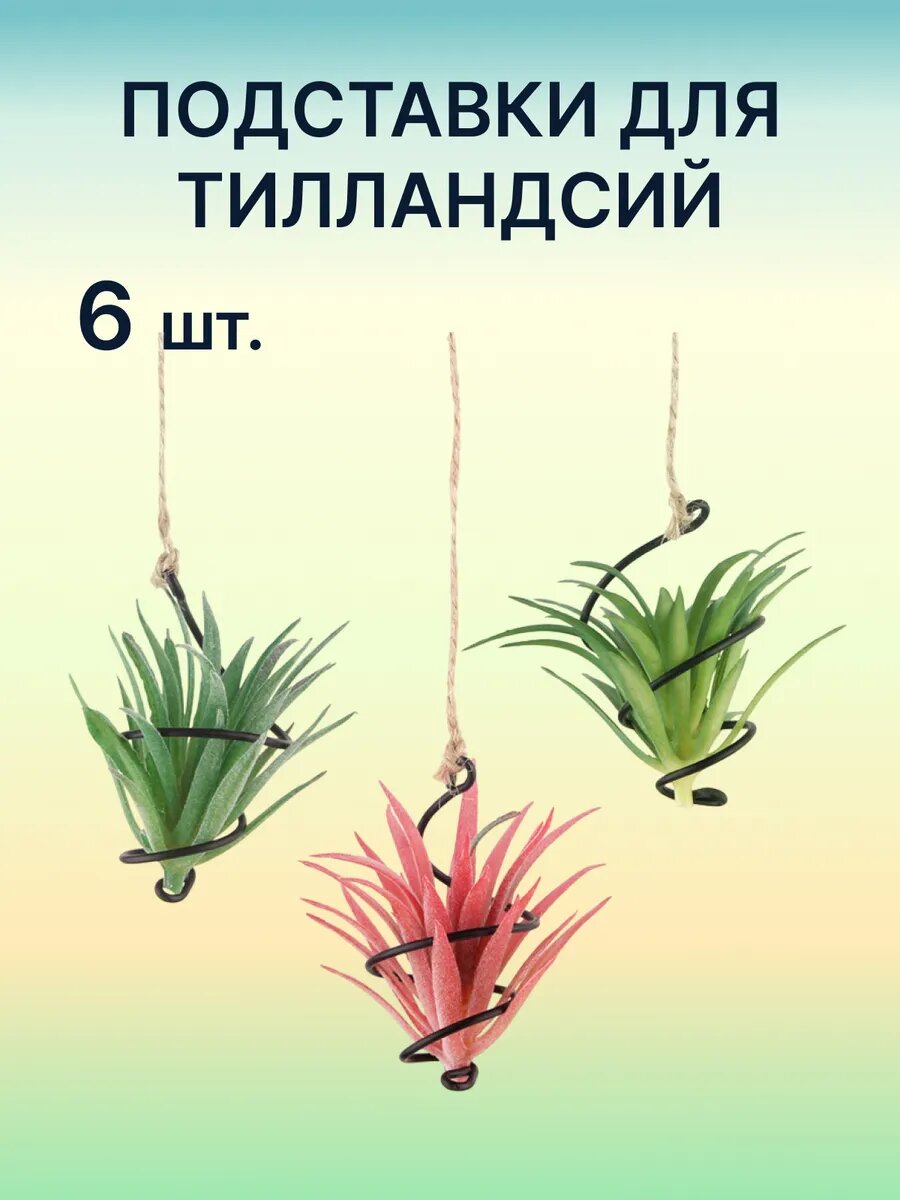 Подвесной держатель для тилландсий, 6 шт