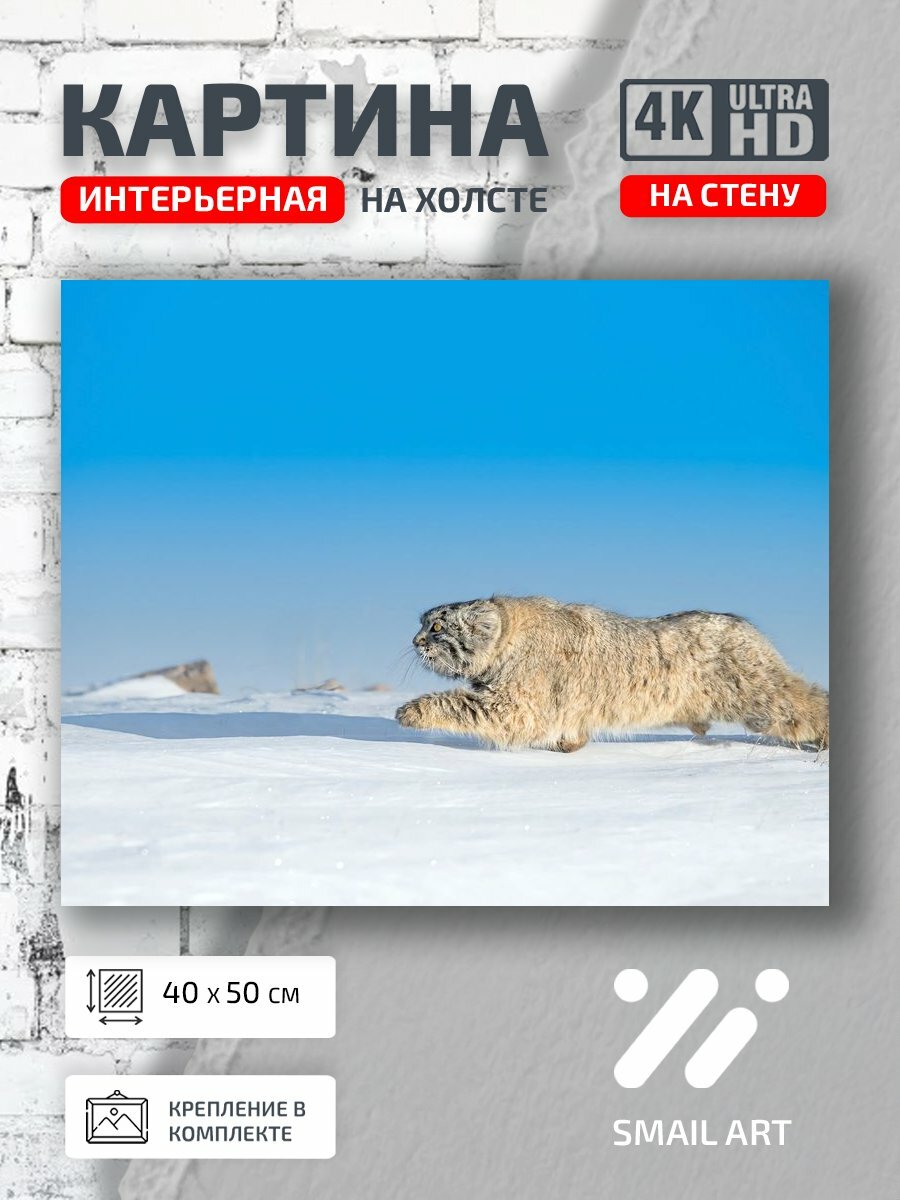 Картина на холсте интерьерная 40 на 50 на стену Крадется Mood для спальни атмосфера декор