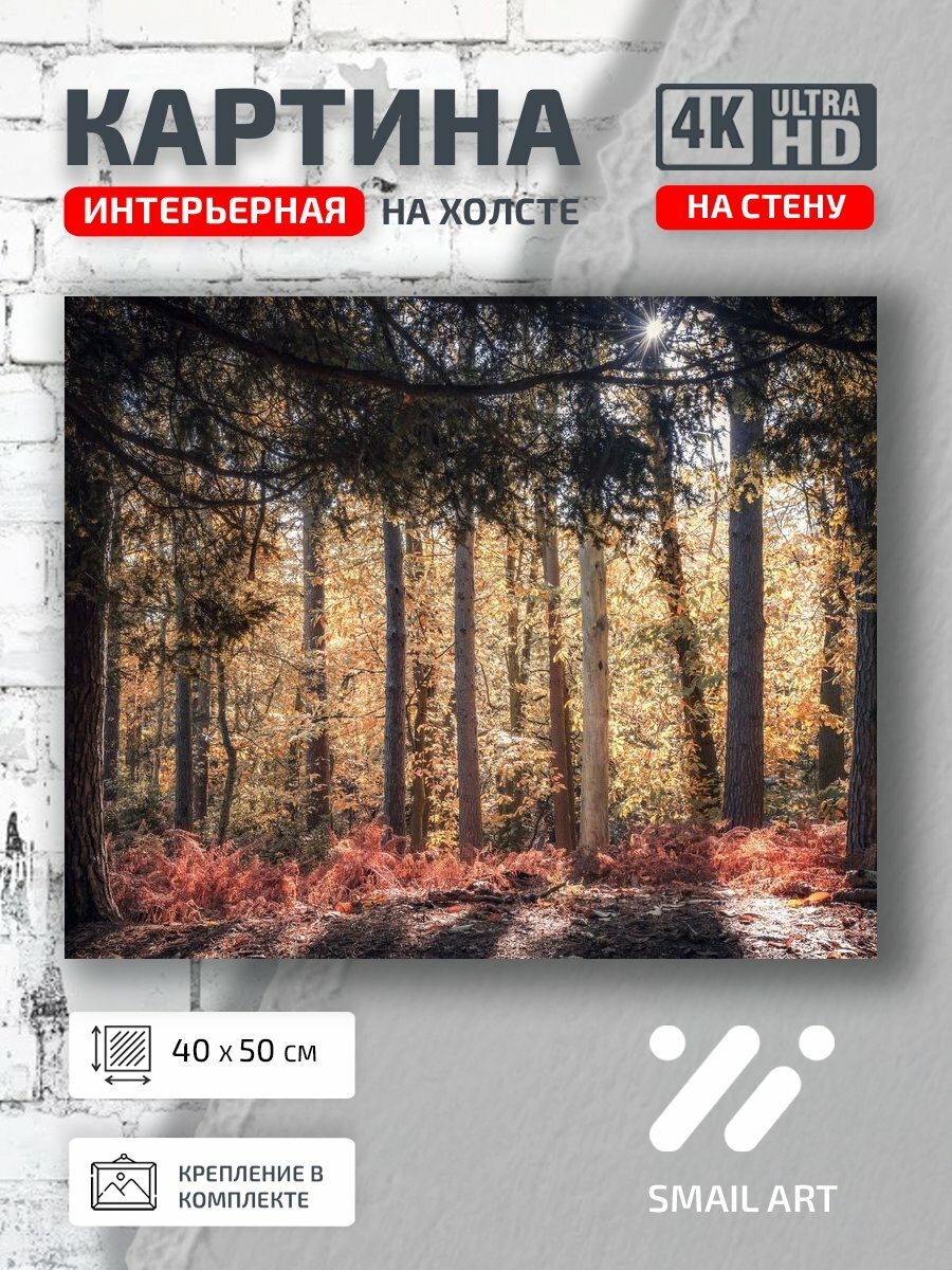 Картина на холсте интерьерная 40 на 50 на стену Осень Landscape для кабинета пейзаж декор