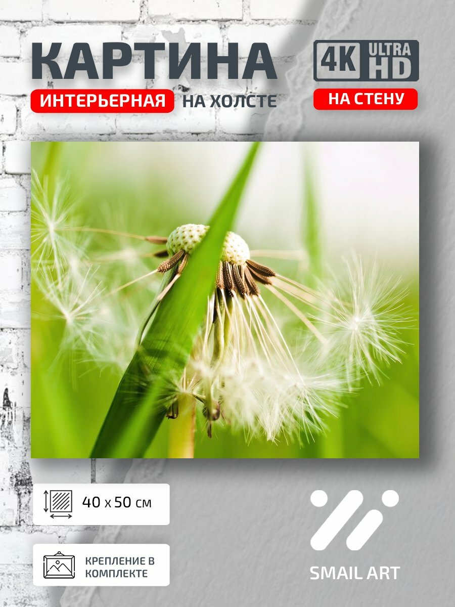 Картина на холсте интерьерная 40 на 50 на стену Одуванчик Landscape для кабинета пейзаж