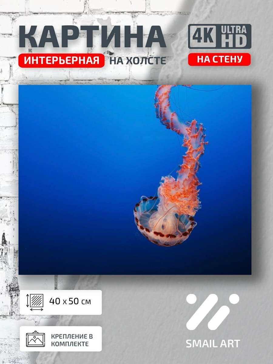 Картина на холсте интерьерная 40 на 50 на стену Медуза Оранжевая для спальни атмосфера