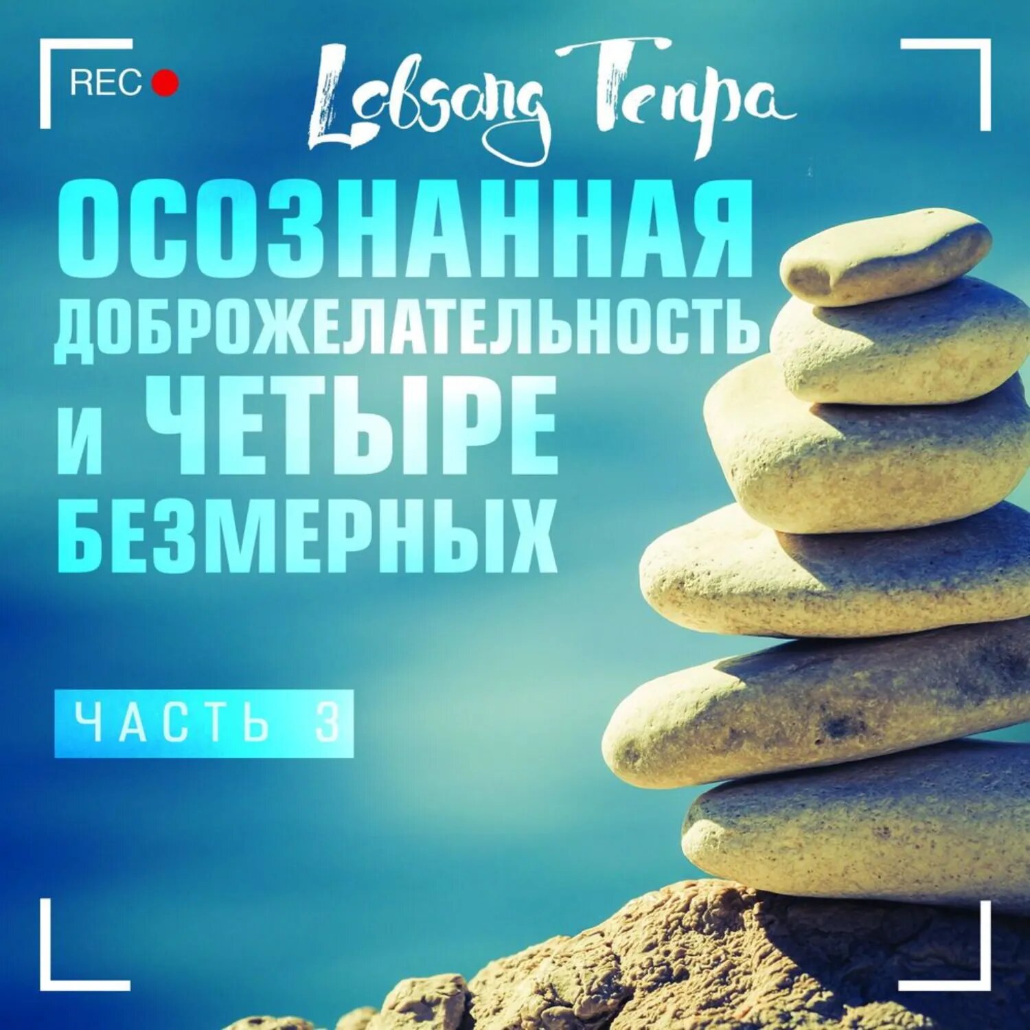 Осознанная доброжелательность и четыре безмерных. Часть 3 [Аудиокнига]