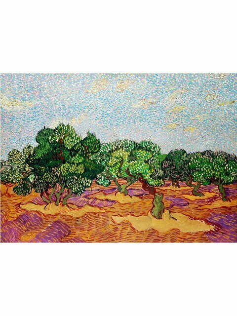Набор для самостоятельной вышивки алмазами 5D Знаменитые картины Ван Гога- круглая алмазная мозаика размером 40x50 см для украшения стен дома,40X50CM, белый