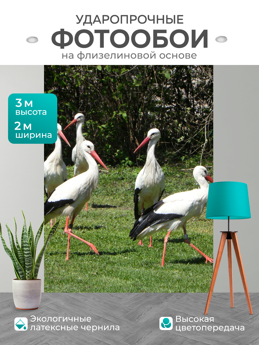 Фотообои моющиеся ударопрочные "Аист, аисты, погремушка аист" 200x300 см. флизелиновые на стену
