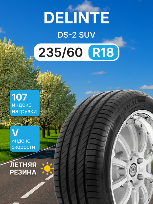 Летняя шина Delinte DS-2 SUV 235/60 r18 107V