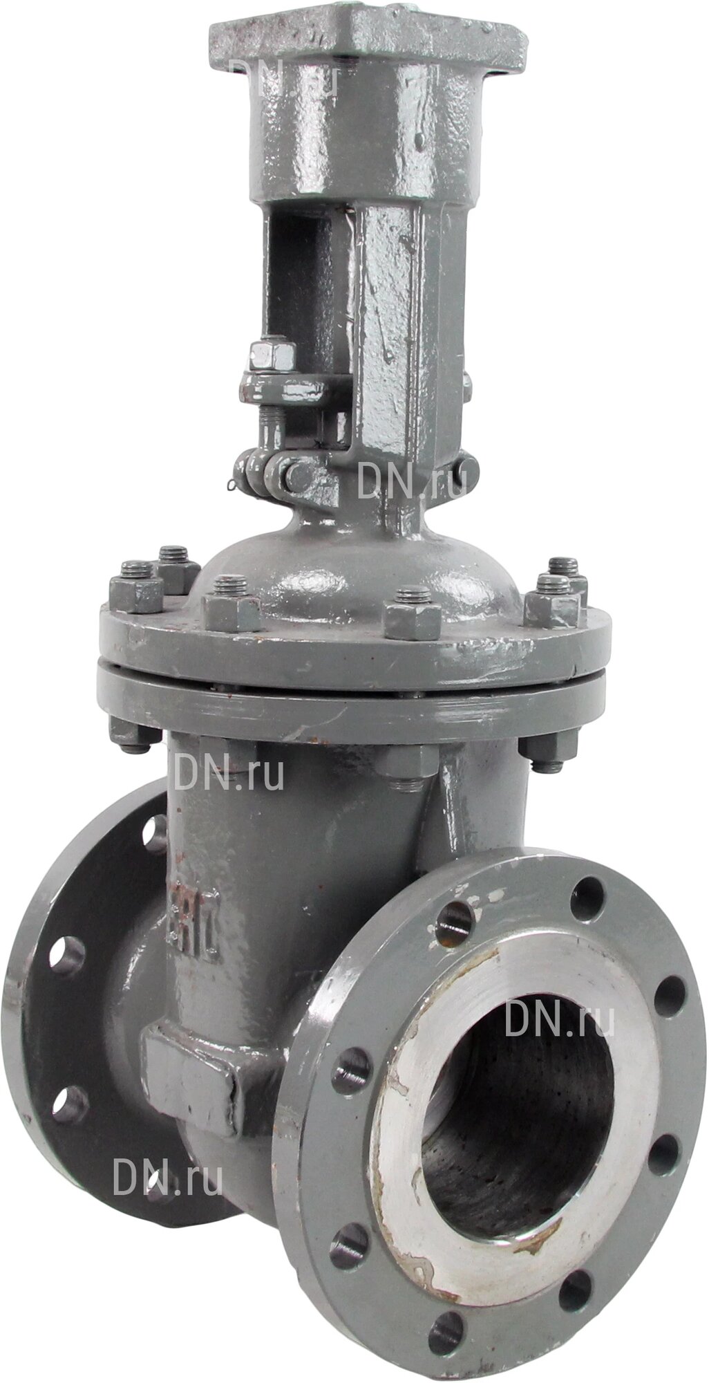 Задвижка клиновая 30с964нж DN.ru Ду100 Ру25 фланцевая, корпус – сталь 25Л, уплотнение – металл/металл, с выдвижным шпинделем, управление под электропривод