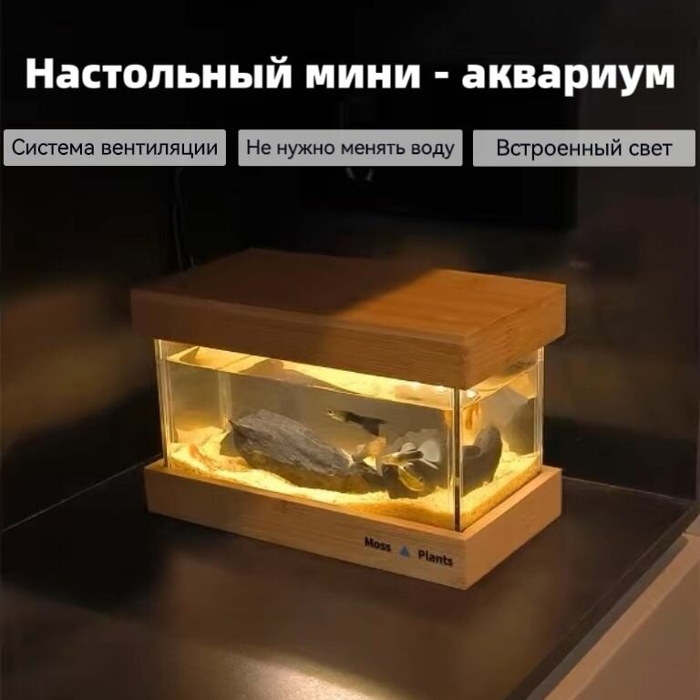 Аквариум