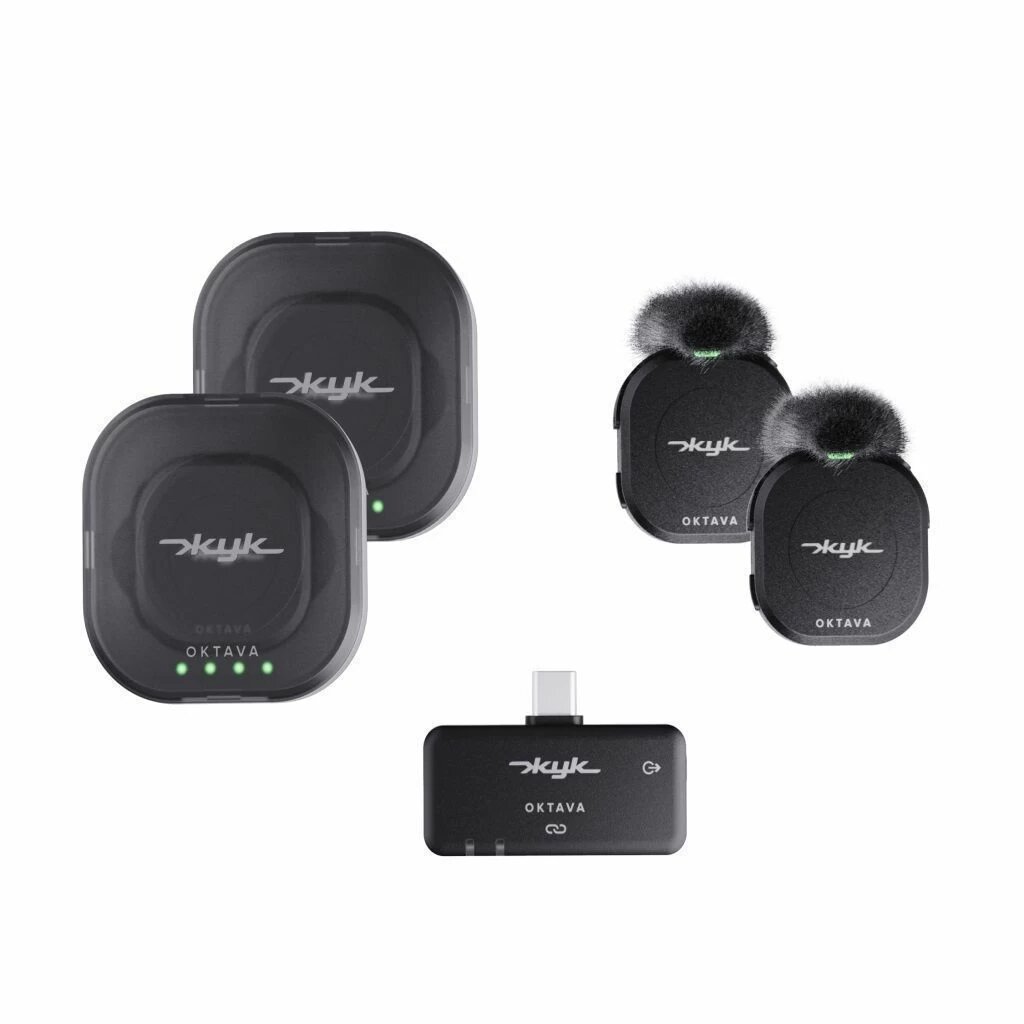 Вокальная радиосистема Октава Жук-2-Ч