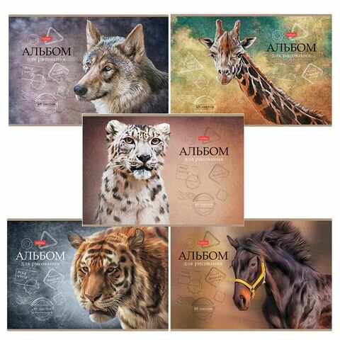 12 шт. Альбом для рисования А4 48 л, скоба, матовая ламинация, тиснение, HATBER, 205х290 мм, "Дикий мир", 079735, 48А4лтВ