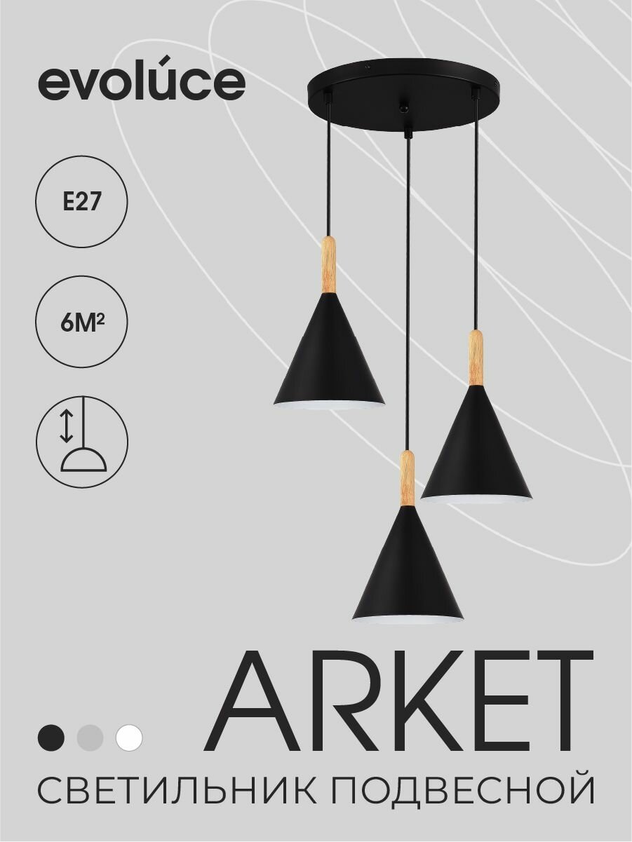 Светильник подвесной Черный, EVOLUCE ARKET, SLE1255-423-03