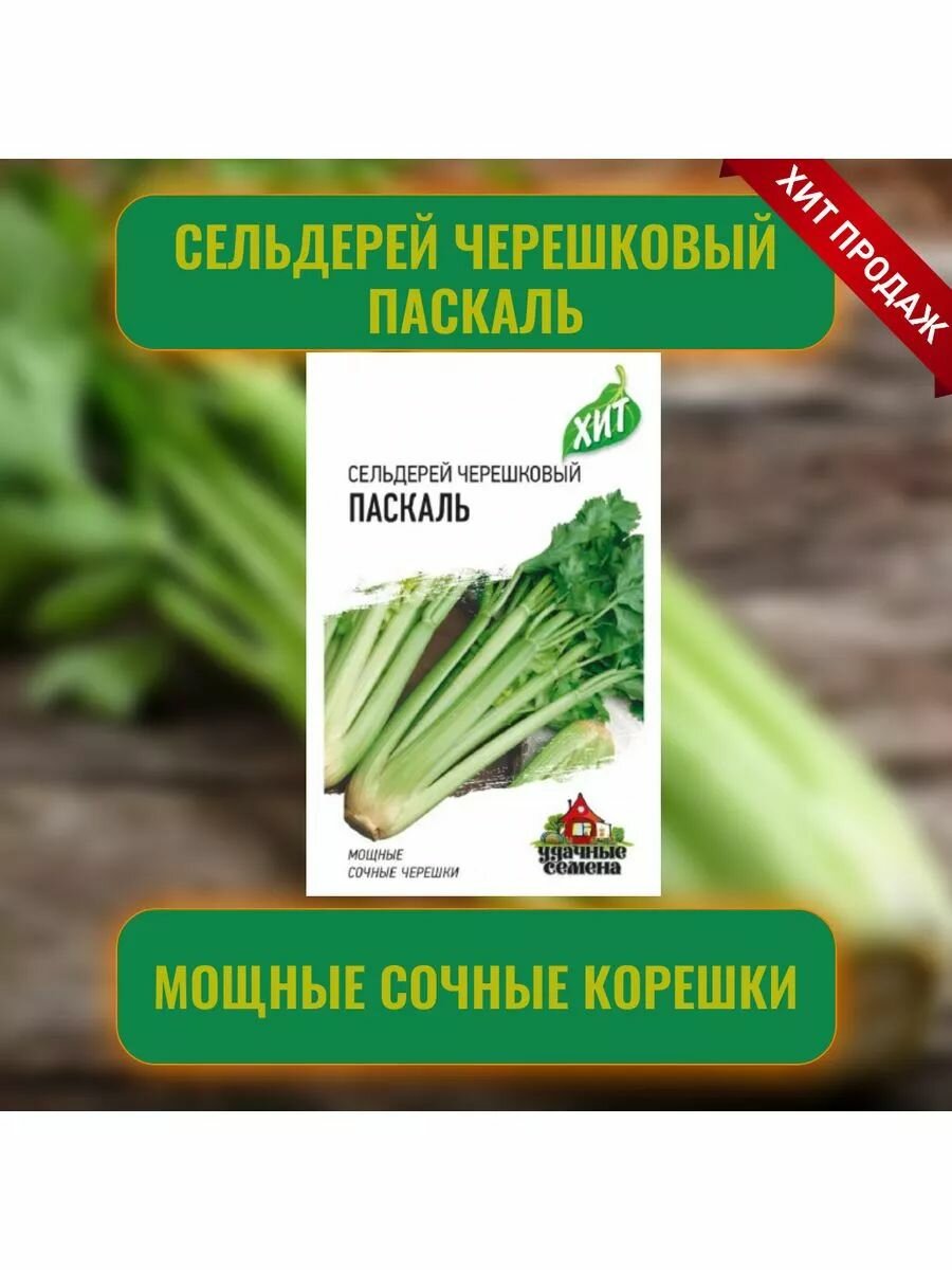 Сельдерей черешковый Паскаль цв. п 0,1г ХИТ Гавриш
