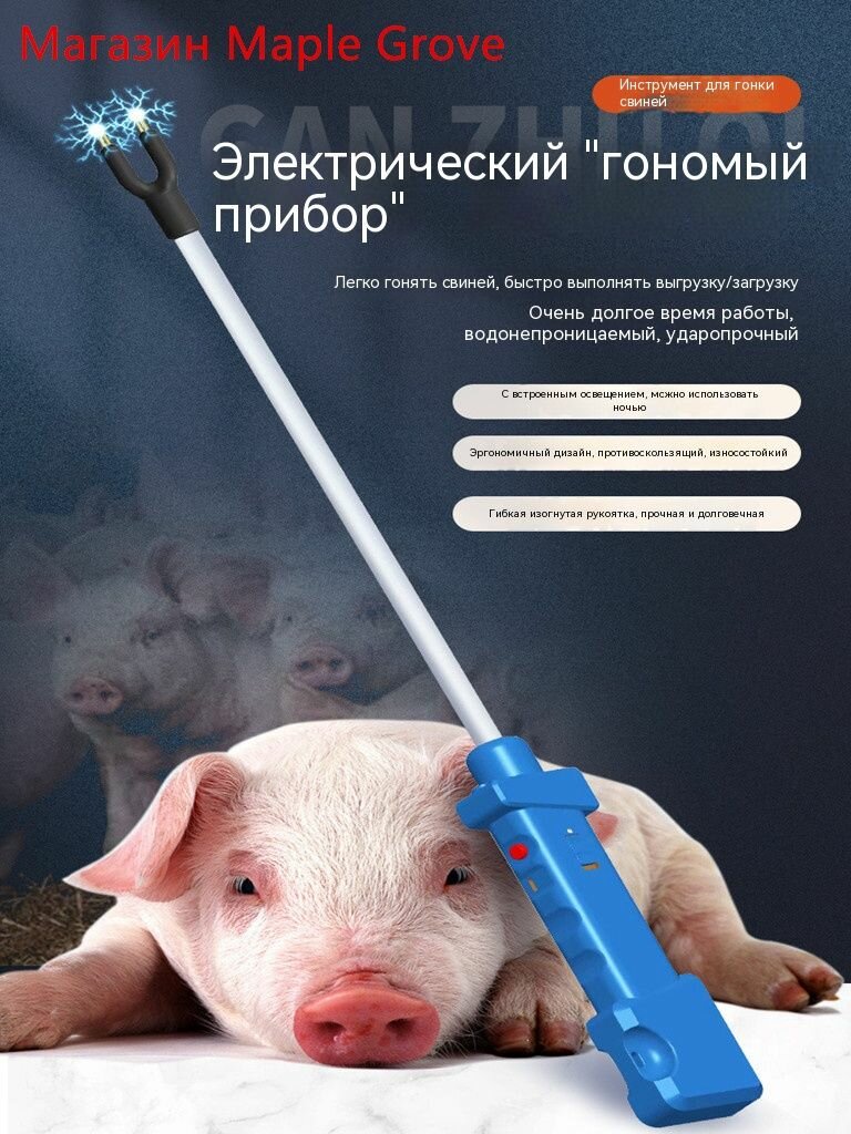 Свинья, корова, овца, электрический прогон