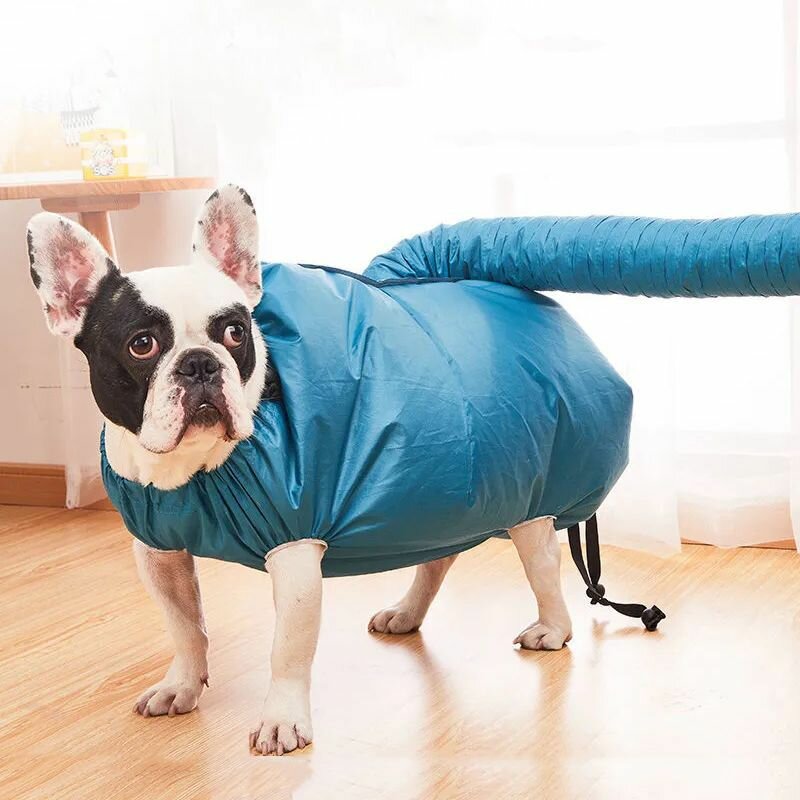 Сушильный бокс для домашних животных, автоматическая сушильная сумка, сушилка для шерсти Тедди, Корги, Кошки, Сушилка для собак, Золотистый Ретривер, бесшумная сушка