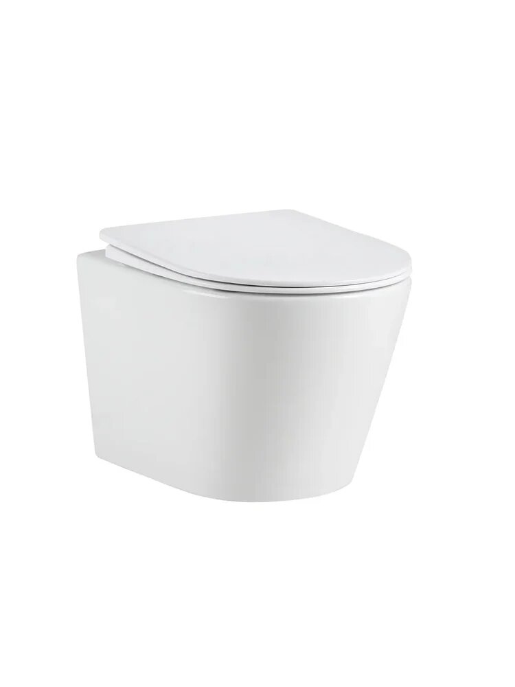 Унитаз подвесной River Ontario 485 WT с микролифтом, безободковый, без бачка, антивсплеск, фаянсовый, белый, глянцевый, овальный, сиденье для унитаза в комплекте