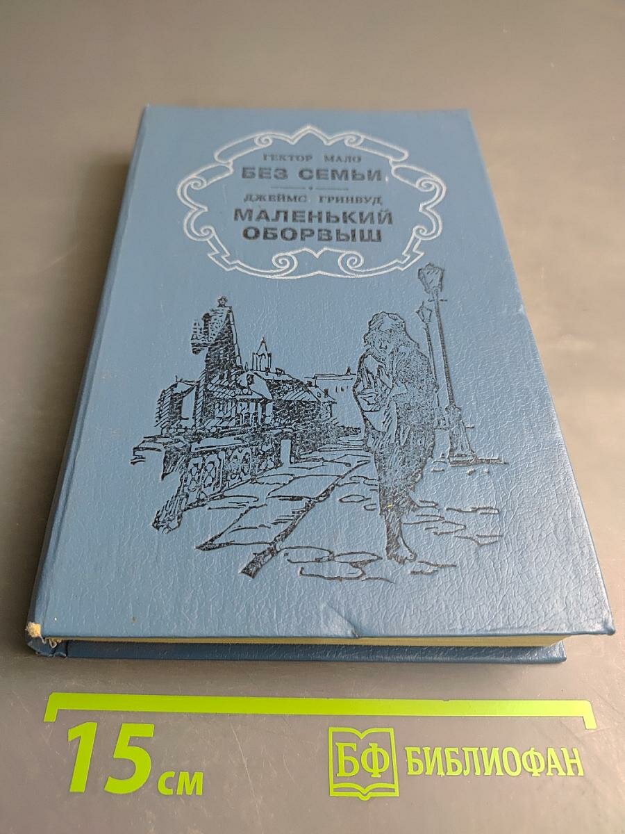 Без семьи. Маленький оборвыш