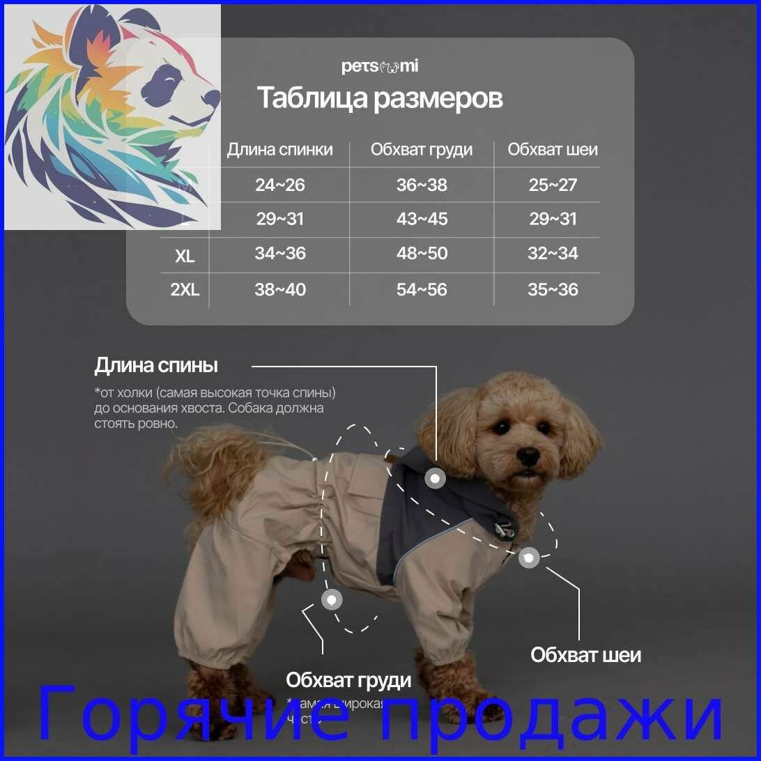 Одежда для животных — фото 1