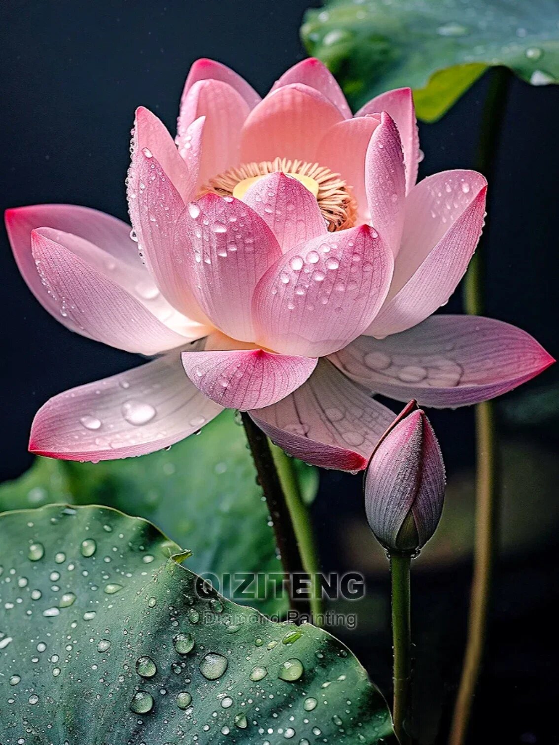 Алмазная живопись QIZITENG Хризантема Роза Бабочка Розовый, 30x40cm Round, RT-1247