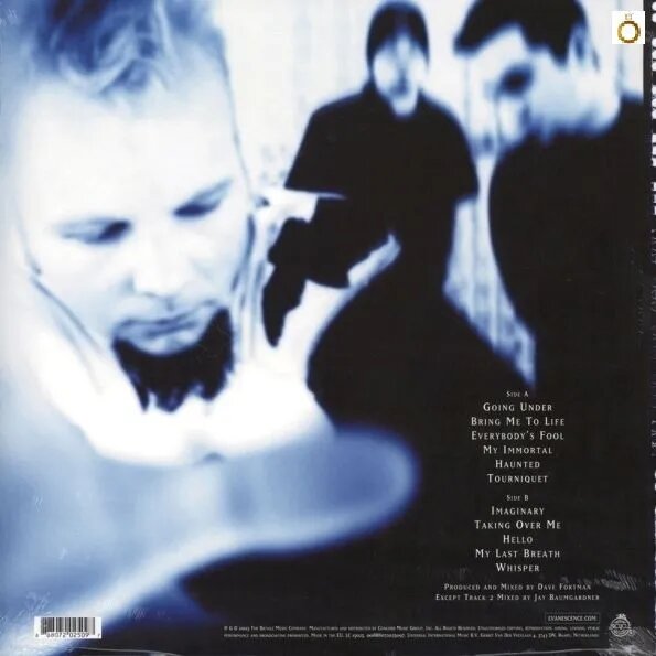 Виниловая пластинка Evanescence - Fallen (2003) Переиздание, 1 LP, Ню-метал — фото 1