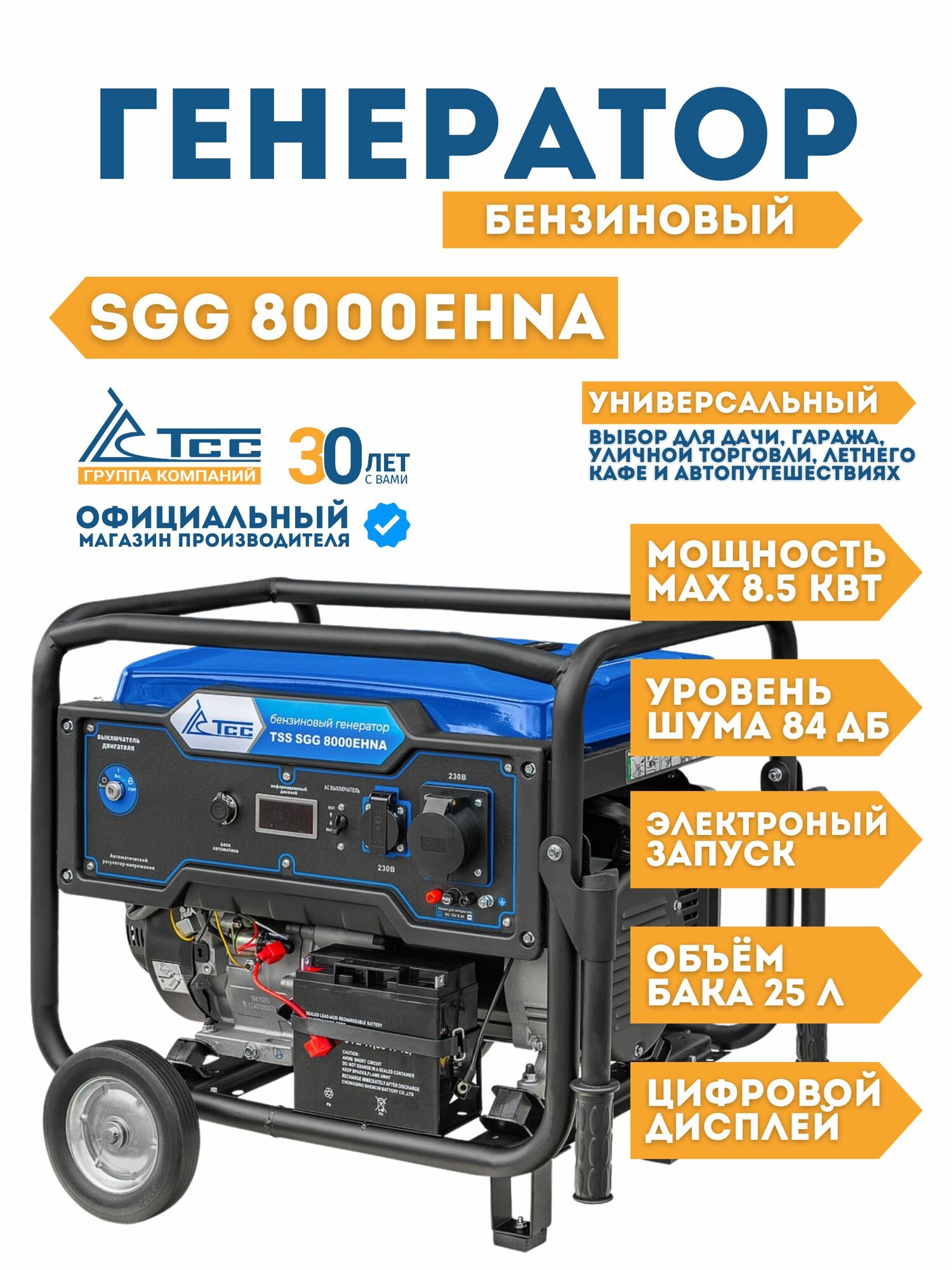Генератор бензиновый 8-8.5 кВт TSS SGG 8000EHNA