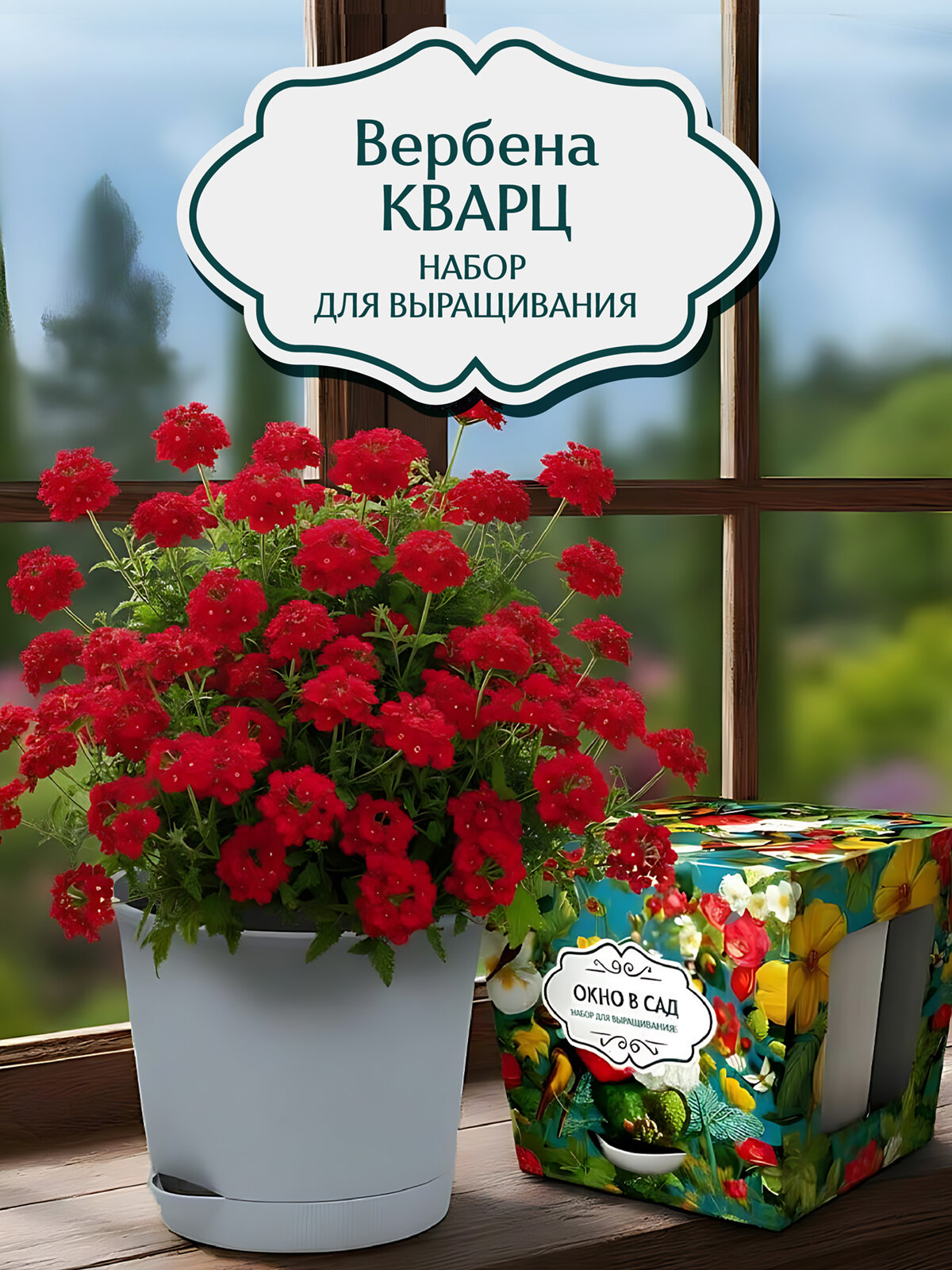 Вербена кварц Набор для выращивания от бренда "Окно в сад", для детей и взрослых