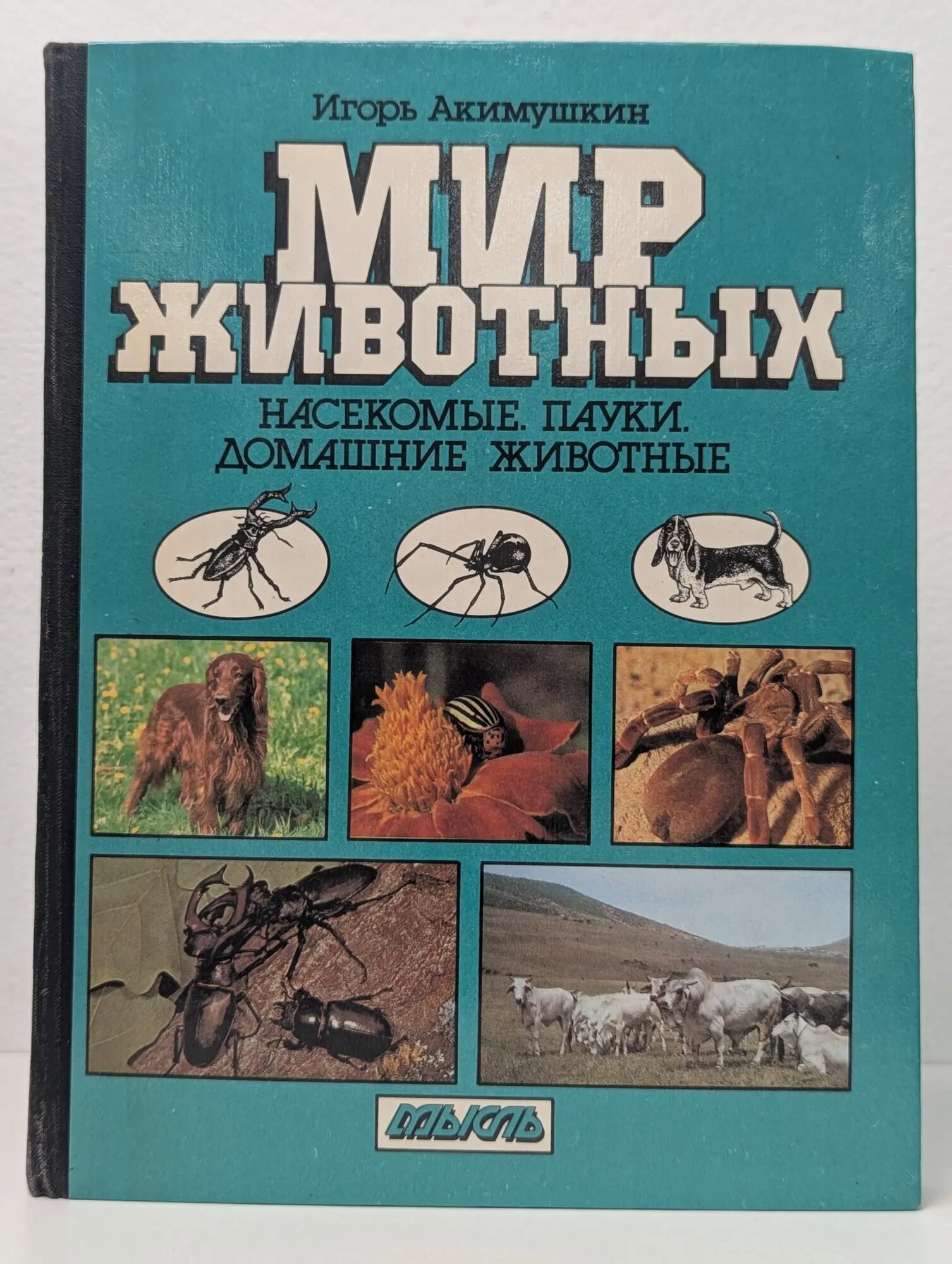 Мир животных. Насекомые. Пауки. Домашние животные Акимушкин Игорь Иванович 1990