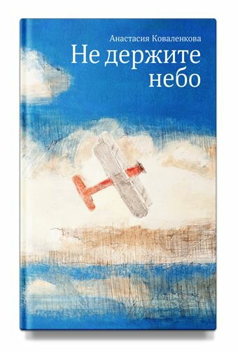 Книга Никея "Не держите небо" — фото 1