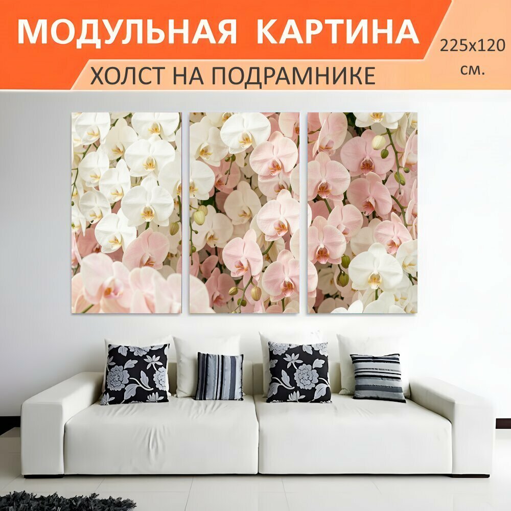 Модульная картина на холсте "Нежные орхидеи в пастельных тонах. Изящные цветочные соцветия с тонкими лепестками в бело-розовой гамме." триптих на подрамнике 225х120 см. для интерьера