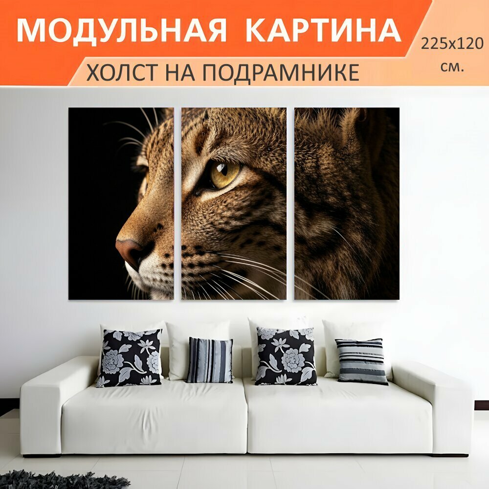 Модульная картина на холсте "Рысь в профиль на темном фоне. Детализированный крупный план дикого лесного хищника с янтарным взглядом." триптих на подрамнике 225х120 см. для интерьера
