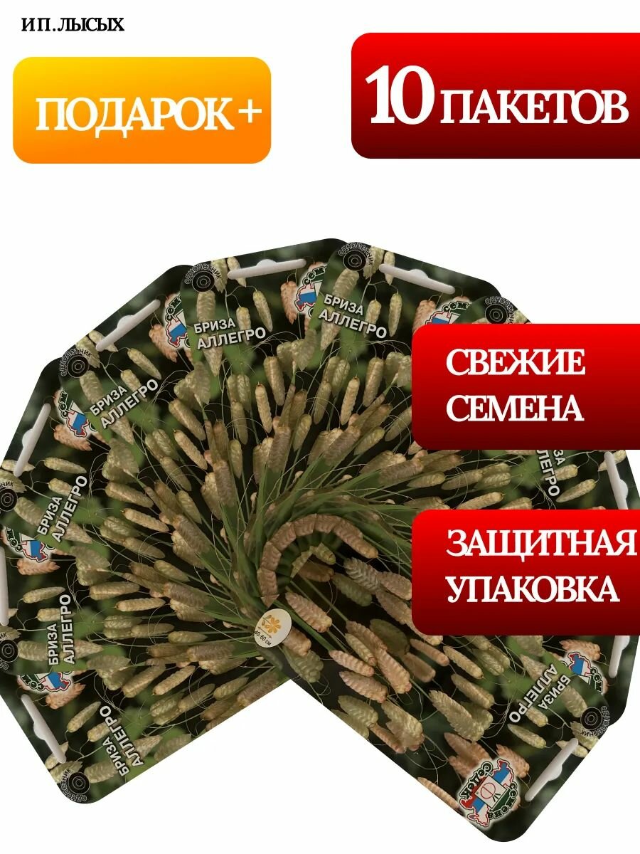 Семена Бриза "Аллегро"