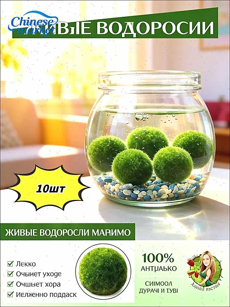 Живые водорослиНабор 10 шт, Натуральный мох шарики для аквариума, Символ удачи и любви