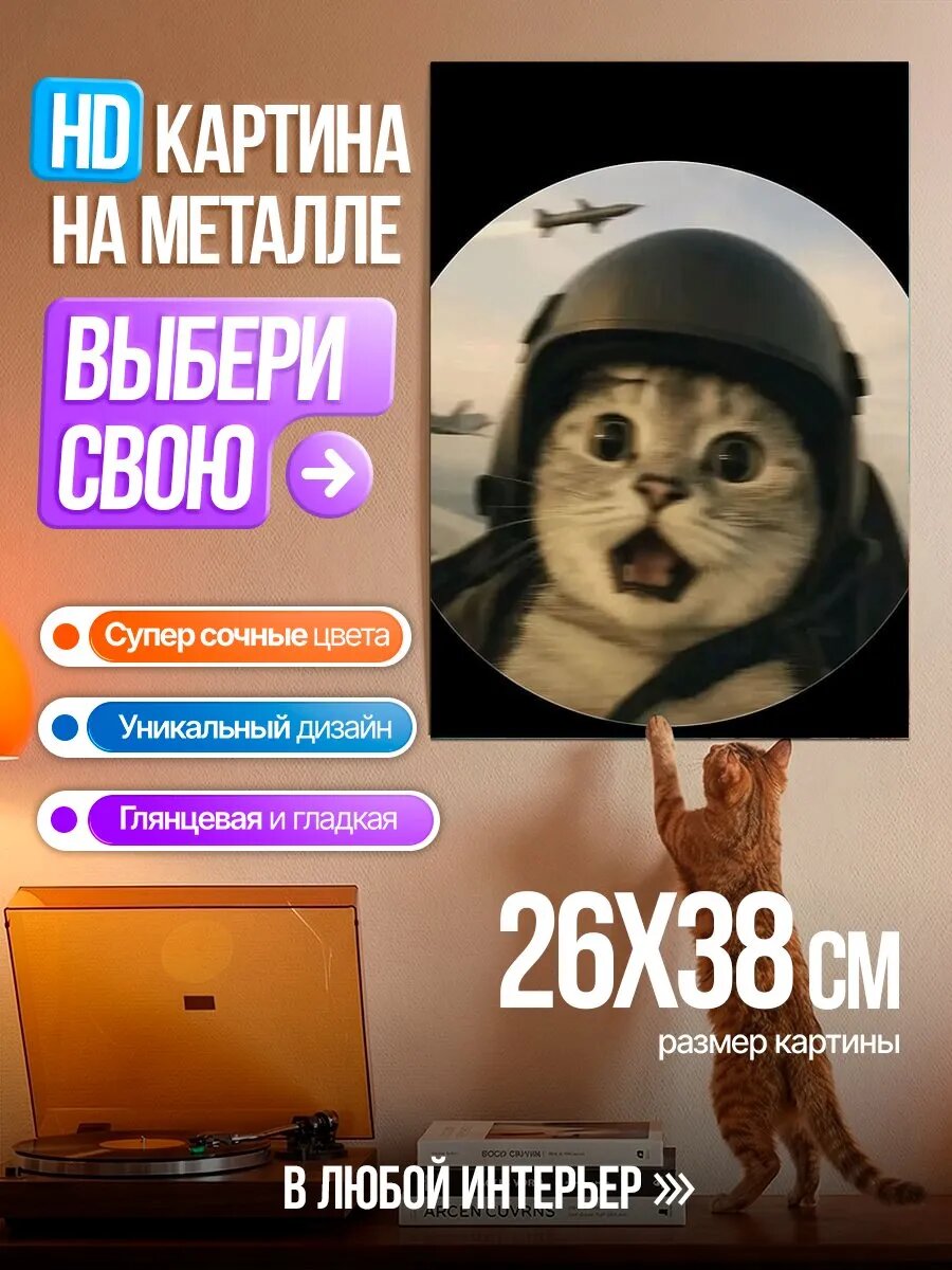 Картина на HD металле Кот-пилот