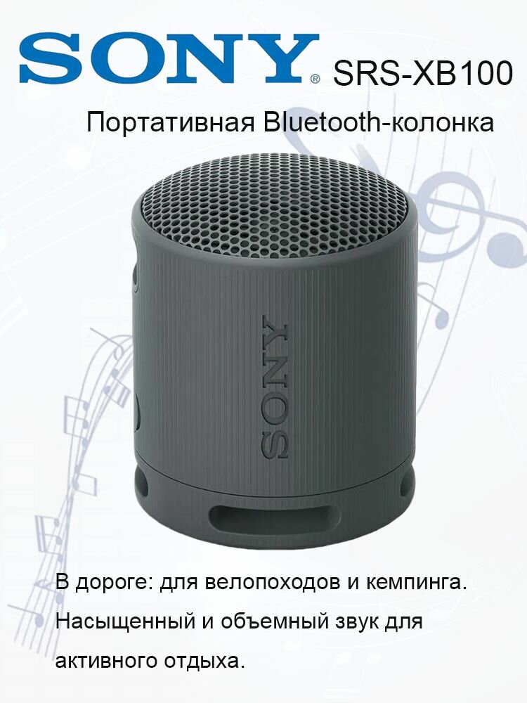 Беспроводной динамик Bluetooth SONY SRS XB100