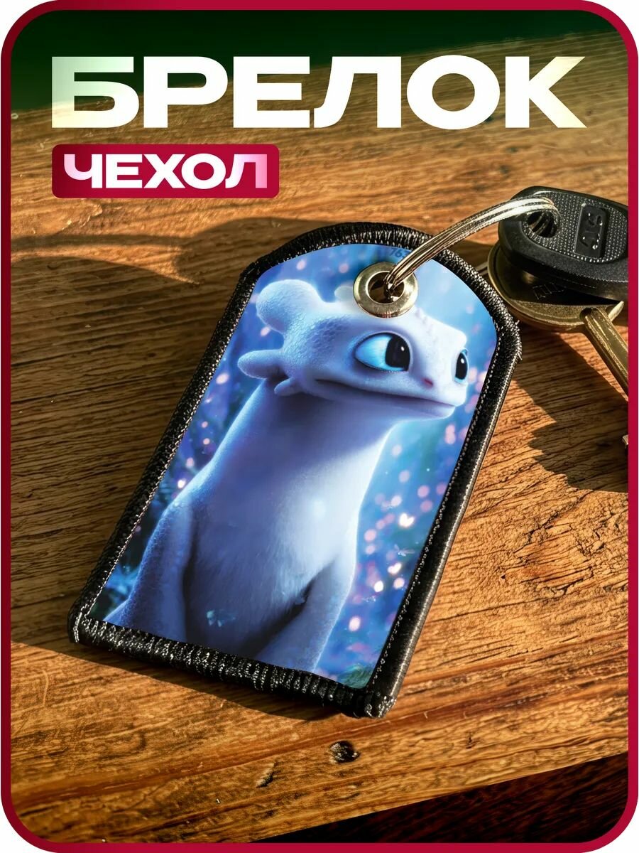 Чехол для ключа домофона Как приручить дракона Дневная фурия