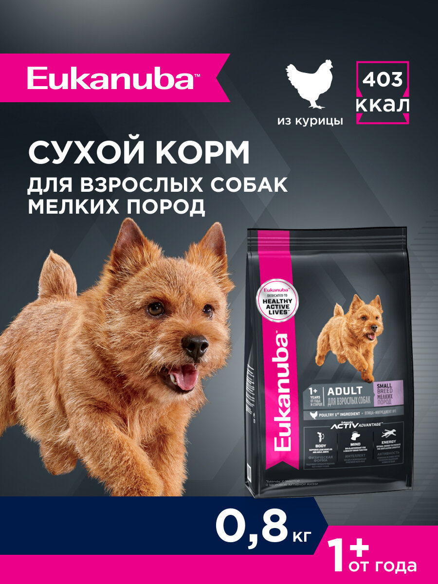 Сухой корм для собак Eukanuba Adult Small Breed для мелких пород , 0,8 кг