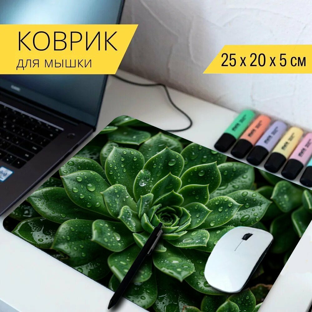 Коврик для мыши с принтом "Зелёный суккулент с каплями росы. Макроизображение сочного комнатного растения с плотными лепестками и блестящими каплями влаги. Насыщенные." 25x20см.