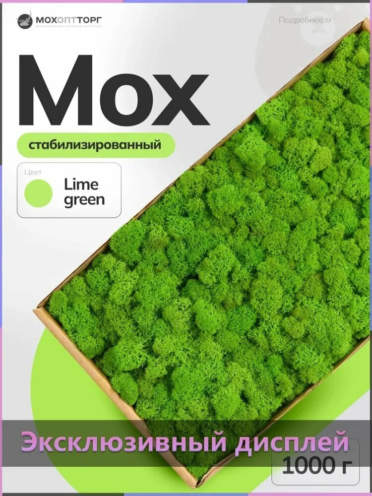 Стабилизированный мох Мох, 7 см, 1000 гр, 1 шт