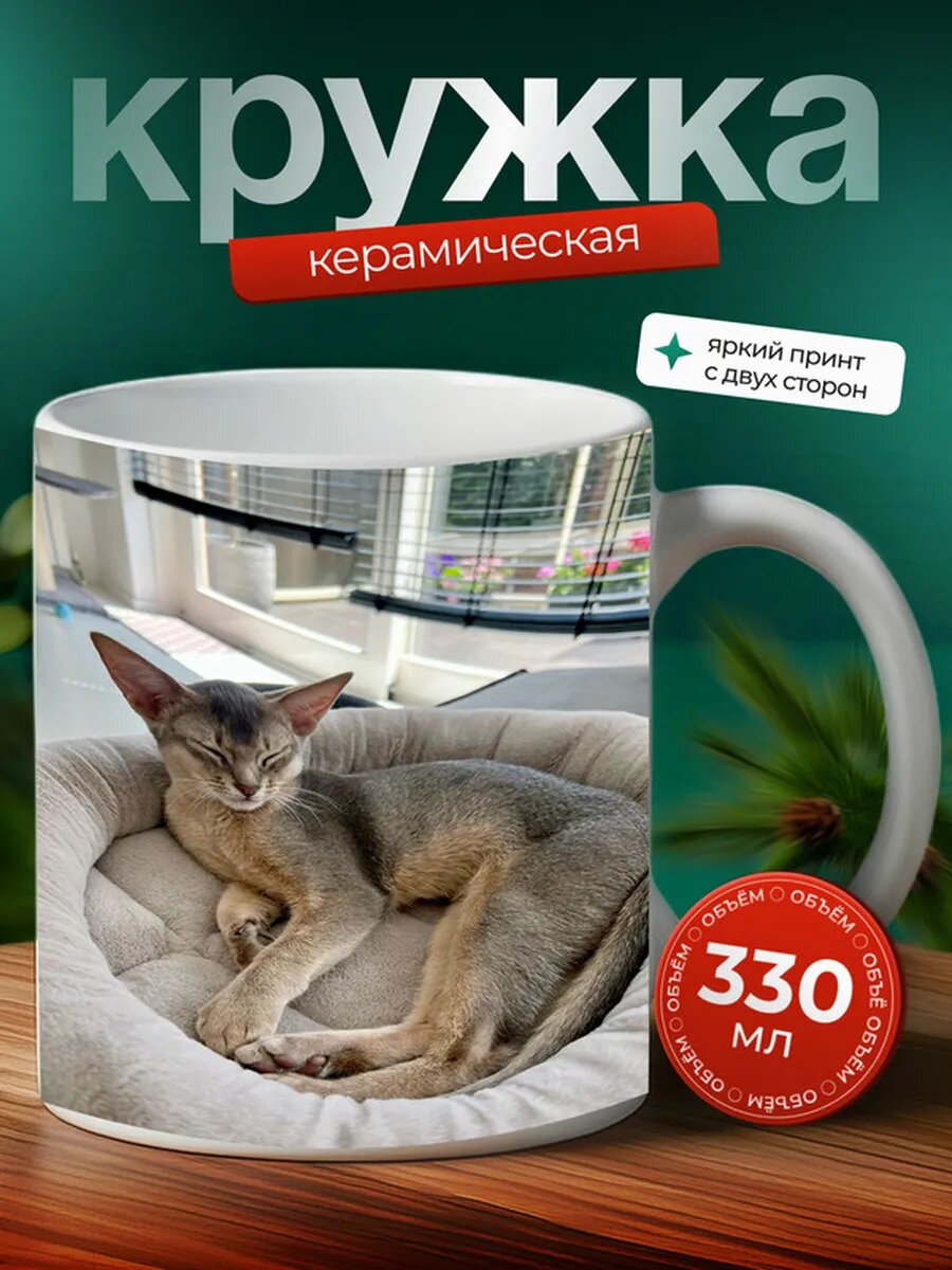 Кружка Бирманский синий кот 49,
