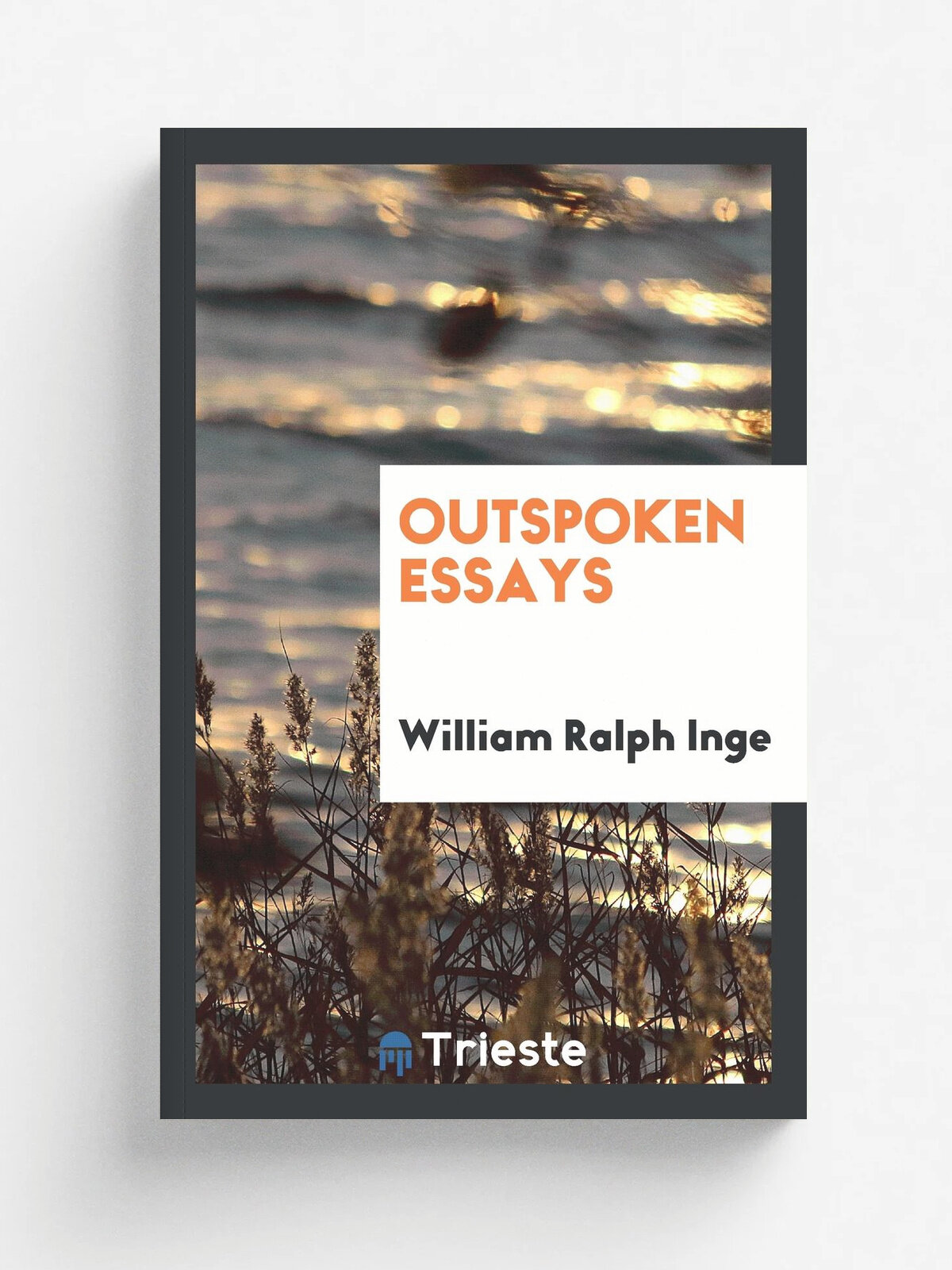 Outspoken essays