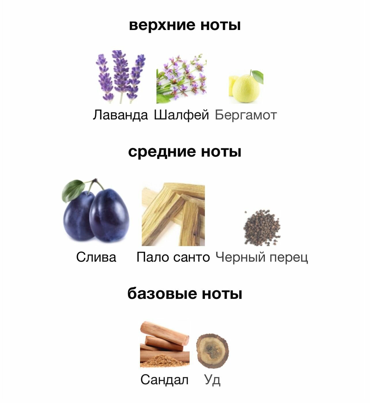 Парфюмерная вода Paragon аромат унисекс 90.1 мл