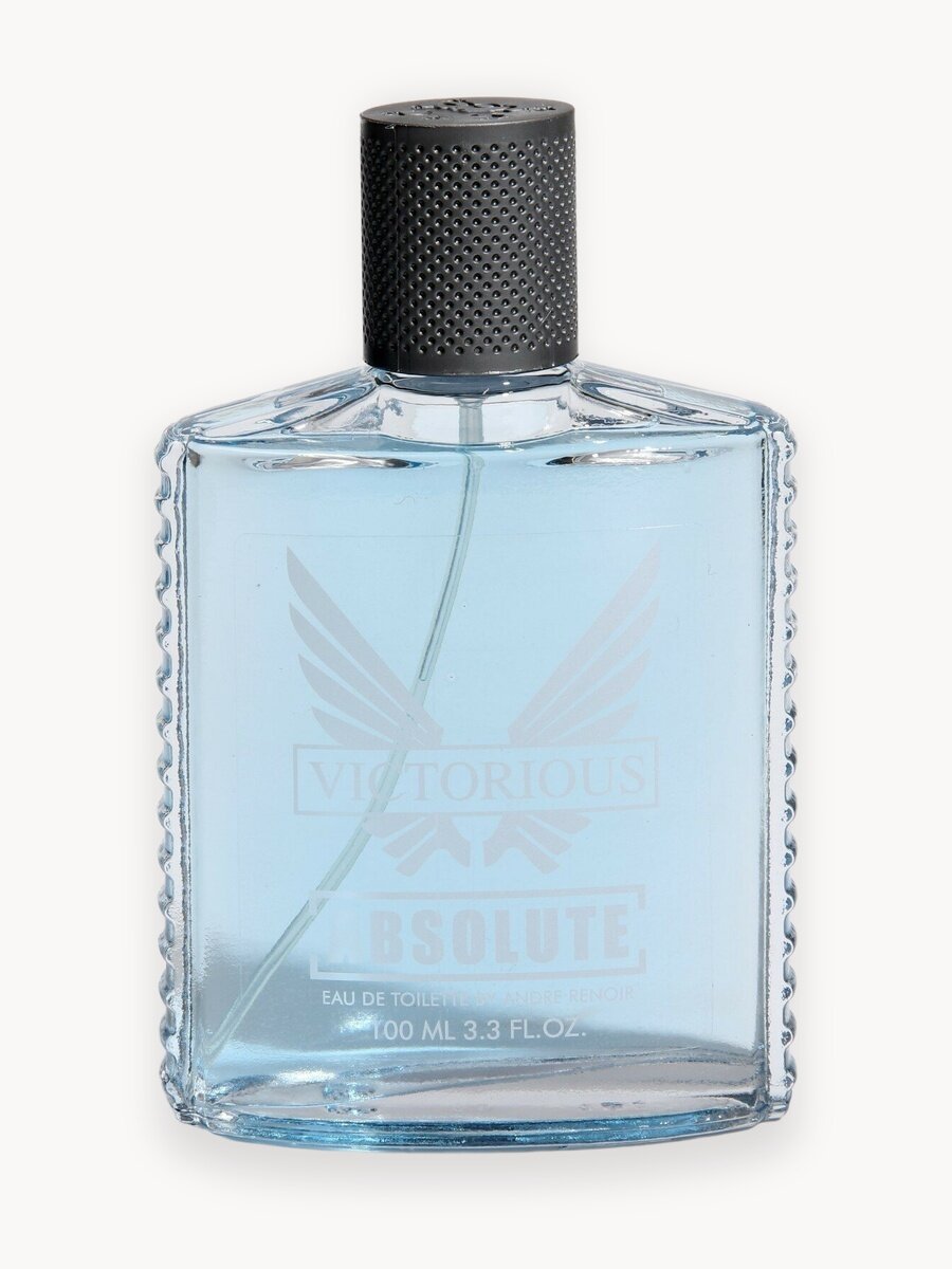 Туалетная вода мужская Absolute Victorious, 100 мл, цитрусовый аромат (по мотивам Invictus (P.Rabanne)